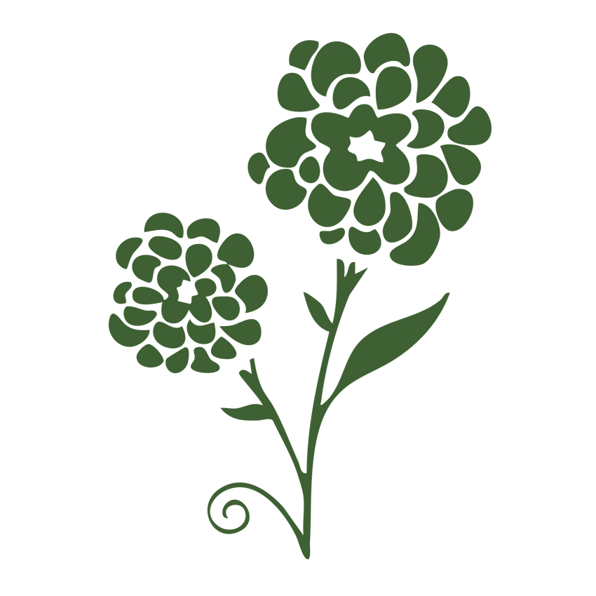 Portfolio – Elaina Darden